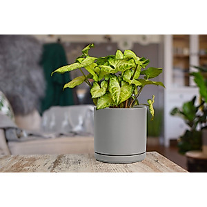 D'vine Dev 6 Inch Ceramic Planter Pot with Drainage Hole and Saucer, Indoor Cylinder Round Flower Pot, Grey, 94-O-C-3