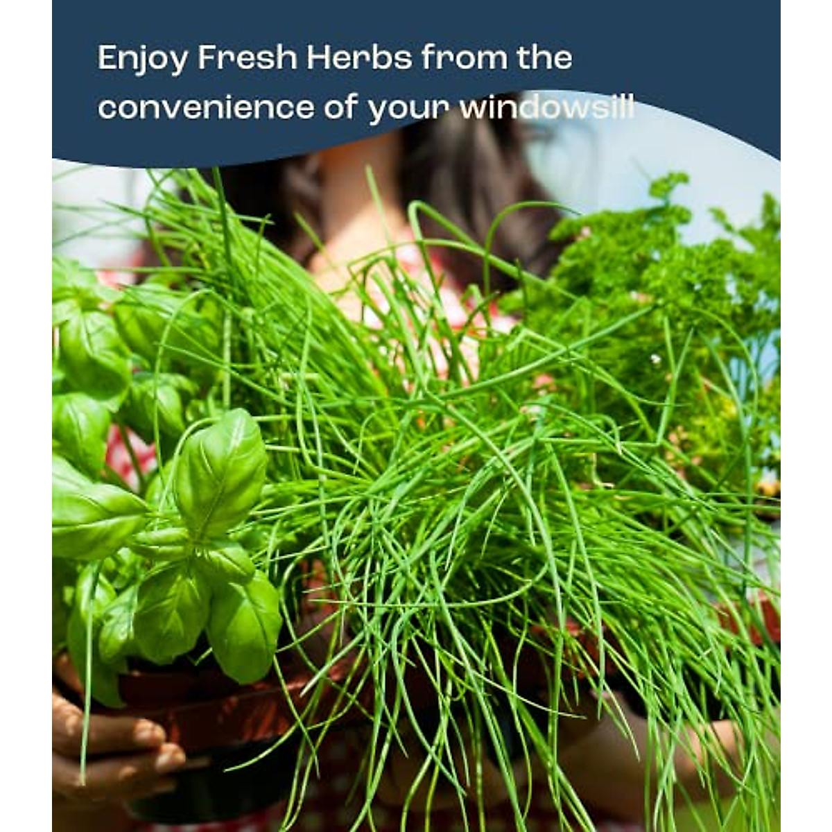 Herb Garden Kit Indoor – Indoor Herb Garden Starter Kit – Dwarf Tomato, Chili Pepper and Eggplant Seeds – Sturdy Reusable Planter, Enriched Soil & Bamboo Labels – Indoor Garden Kit