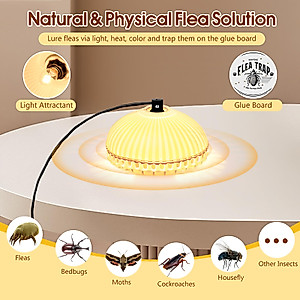 Flea Traps for Inside Your Home, 2 Pack Flea Trap Light with 4 Sticky Discs & 6 Bulbs, Shell Shape Electric Flea Killer Bed Bug Trap, Natural Indoor Pest Control Trap for Home, Safe to Pet & Child