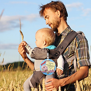 Do not Touch Baby Signs, Stroller Signs, Newborn car seat Signs, Premature Babies, do not Touch car seat Signs (Blue Pink, Girl)