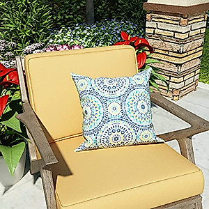 LVTXIII Outdoor Throw Pillow Covers 18 x 18 Inch, Covers ONLY Modern Paisley Pattern Decorative Square Toss Pillow Case Pack of 2 for Home Patio Garden Sofa Bed Furniture, Delancey Lagoon