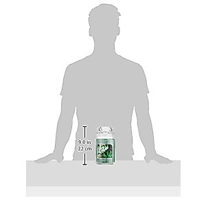 Village Candle Eucalyptus Mint Large Glass Apothecary Jar Scented Candle, 21.25 oz, Green
