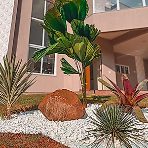 WUWEOT 6-lb White Decorative Bean Pebbles, 0.2" Natural Gravel Rocks for Plants, Succulents, Vases, Aquariums and Terrariums