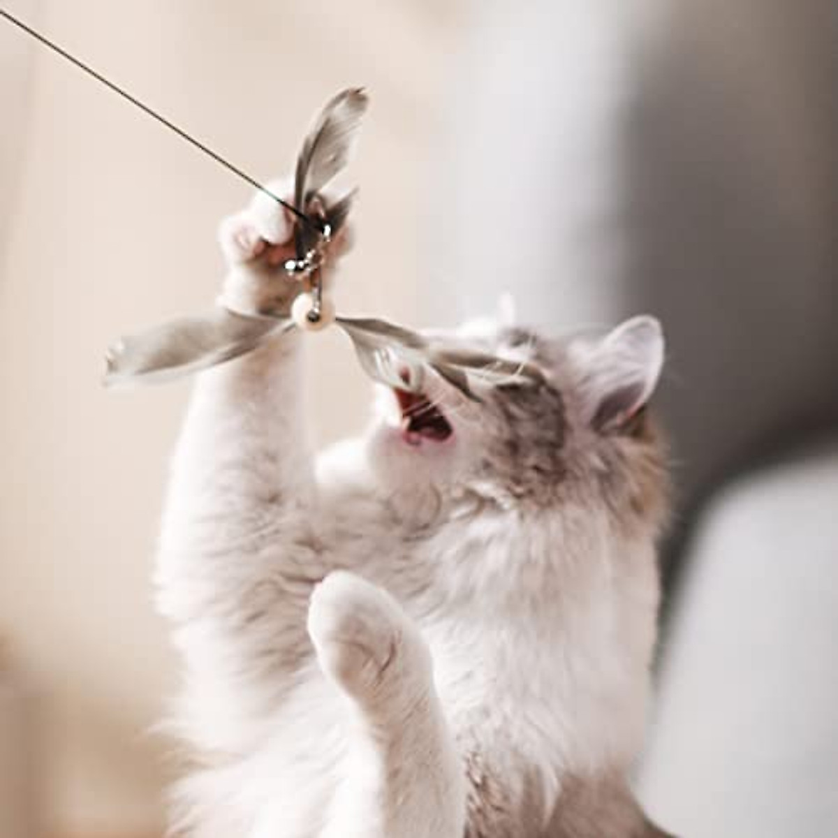 FUKUMARU Cat Wand Toy, 35.5 Inch Cat Feather Propeller Toy with Bell, Steel Wire Cat Toy for Indoor Cats with Natural Feather, Solid Wood Handle an Extra Cat Toy Feather Replacement