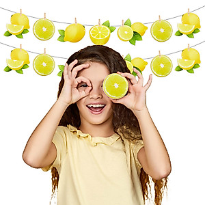 4 Pcs Lemon Banner Citrus Lemonade Party Sign Lemon Party Decorations Yellow Lime Birthday Decorations for Boy Girl Baby Kids DIY First Bday Bridal Kitchen Shower Theme Decor