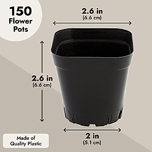 Juvale 150-Pack 2 Inch Plastic Seedling Pots for Plants, Small Square Starter Nursery Planters for Starting Seeds, Flowers, Succulents, Propagating, Indoor Garden (Black)