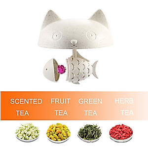 10 oz Cat Glass Cup Tea Mug with Infuser Set and Lid,Glass Teas Mug with Handle,Transparent Tea Cup with Fish Shaped Strainer Filter