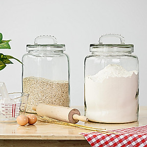 Daitouge 3 Gallon Glass Jar with Lid, 1 Pack Wide Mouth Large Glass Jar with lid, Super Large Cookie Jar for Food Storage, Sugar, Flour, Cookies,Dog Treats