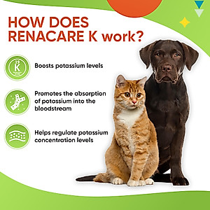 RenaCare K is for Renal K (Potassium Gluconate) Potassium Supplement Powder for Dogs and Cats, (4 oz) with Chicken Liver Flavor - 215 Level Scoop (Made is U.S.A)