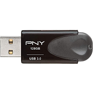 Generic PNY Flash Drive (Bulk 2 Pack) Turbo Attaché 4 USB 3.0 Works with Computer (P-FD128TBAT4-GE) Bundle with (1) Everything But Stromboli Lanyard, 128GB