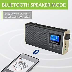 Streaming Radio to Bluetooth Earbuds or Home Stereo System, FM Radio, Bluetooth Transmitter, Bluetooth Speaker, SD Card MP3 Player 4-in-1 Device with Rechargeable Battery - Avantree Soundbyte T