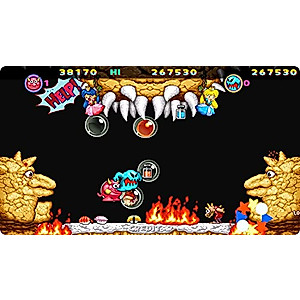 Snow Bros. Nick & Tom Special for Nintendo Switch