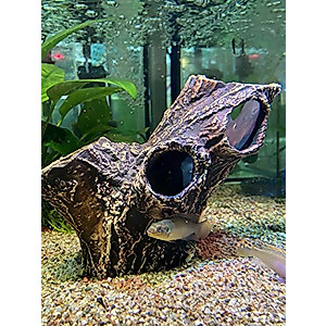 Plecoceramics Large Aquarium Cave Hiding Place for Fish Ceramic Decoration Hideout Tree Trunk Log for plecos and Cichlids