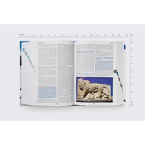 Diccionario enciclopédico bíblico ilustrado CLIE (Spanish Edition)