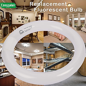 COOGGALAN 8 inch T9 22 Watts Round Light Bulbs FC8T9/DX Circular Fluorescent Light Bulb, FC8T9/DL 22W Circline Bulb, Daylight 6400K, G10q 4 Pin Prong Base, 2 Pack