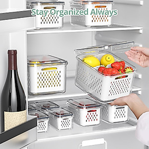 Fruit Storage Containers for Fridge with Removable Colander, 24PCS Fruit Containers for Fridge with 2 Function Divider Plate, Airtight Storage Container to Keep Berry Fruit Fresh, Dishwasher Safe