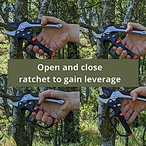 Heavy Duty Ratchet Pruner with Carbide Sharpener and Oil Sponge. These anvil style pruning shears double your cutting strength. Great for seniors or anyone with thick branches to cut. By Truly Garden