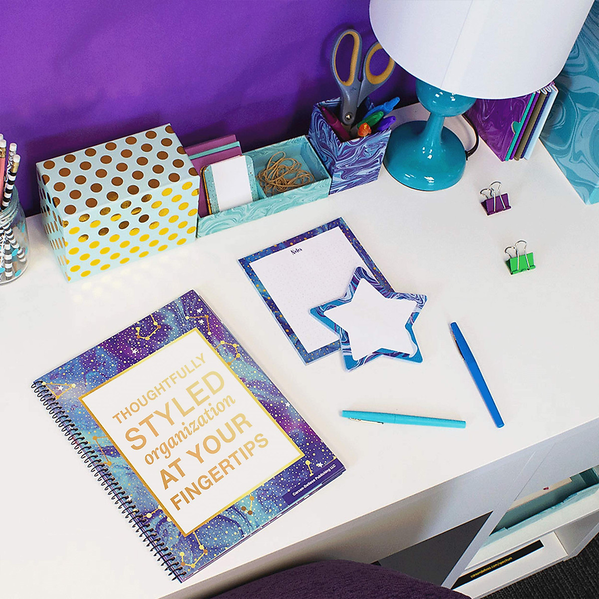 Carson Dellosa Decorative Themed File Folders, FUNkey Frogs, 11.75-inch x 9.5-inch, Pack of 6