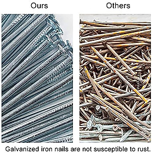 HongWay 1500pcs Hardware Nails Assortment Kit, Galvanized Nails Set, Assorted 12 Sizes Wire and Common Brad Nails Flat Nails Finishing Nails Wall Nails for Pictures Hanging Woodworking