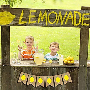 Rainlemon Jute Burlap Lemon Banner Summer Lemon Theme Baby Shower Gender Reveal Birthday Party Mantel Fireplace Decoration