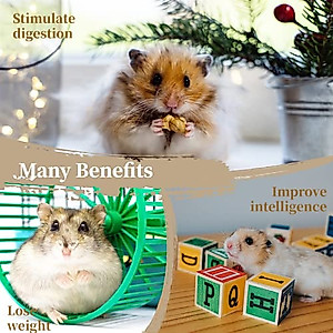 FELISTORY Wooden Foraging Toy for Small Pet - 6 in 1 Interactive Hide Treats Puzzle Snuffle Game, Mental Stimulation Toy for Guinea Pig,Rabbit,Hamster,Hedgehog, Chinchilla, Mouse,Rats,Sugar Gilders