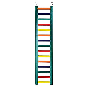 Prevue Pet Products BPV01139 Carpenter Creations Hardwood Bird Ladder with 15 Rungs, 24-Inch, Colors Vary