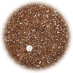 GARDENERA Premium Organic Potting Soil for Avocado - (1 Quart Bag)