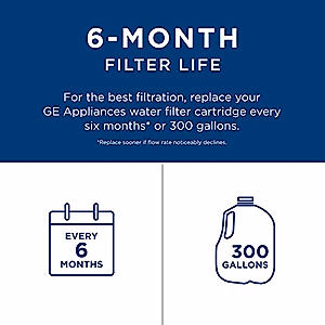 GE RPWFE Refrigerator Water Filter | Certified to Reduce Lead, Sulfur, and 50+ Other Impurities | Replace Every 6 Months for Best Results | Pack of 1