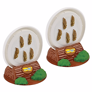 Insect Lore Butterfly Pavilion: Pavilion Habitat and Two Live Cups of Caterpillars with STEM Butterfly Journal – Life Science & STEM Education – Butterfly Kit