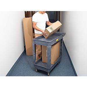 550lb Capacity Heavy Duty Plastic Utility Cart 40" L x 17-1/4" W with Handle 2 Shelves Pake Handling Tools