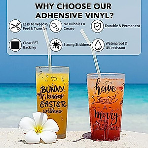 CAREGY Black Permanent Vinyl, Matte Black Adhesive Vinyl for Cricut - 12" x 60FT Black Permanent Vinyl Roll for Cutting Machine,Signs, Home Decoration,Scrapbooking, Craft, DIY Mug Project, Sticker…