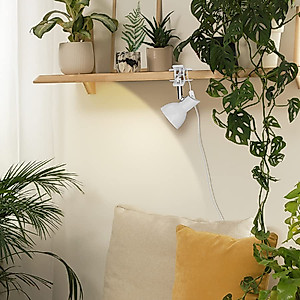 deeloop LED Clip on Light Book Reading 5W Super Bright 330° Rotation Clip on Lamp for Bed/Desk Lamp with Clamp White