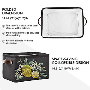 ALAZA Decorative Basket Rectangular Storage Bin, Flowers and Lemon Black Organizer Basket with Leather Handles for Home Office
