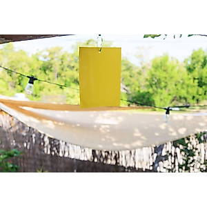 Insectifuge 30Pcs Dual-Sided Yellow Sticky Traps for Plant Gnats - Waterproof Fly Paper Outdoor Indoor for Fungus Gnat Trap, Fly Tape Outdoor for Whiteflies, Aphids, Leafminers, Fruit Fly Sticky Traps