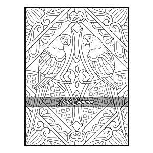 100 Amazing Patterns: An Adult Coloring Book with Fun, Easy, and Relaxing Coloring Pages
