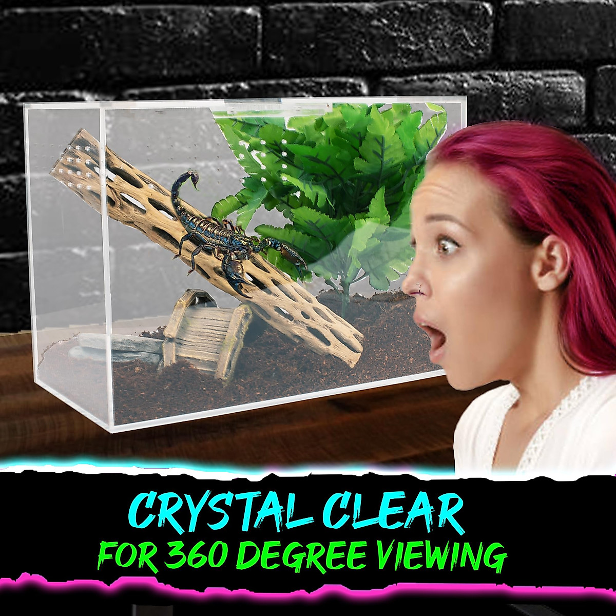 Tarantula Enclosure XL (10”x7”x14”) Reptile Terrarium w/Sliding Magnetic Door-Great Reptile Tank for Terrestrial or Arboreal Animals- Acrylic Terrarium for Juvenile or Adult Spiders- Hermit Crab Cage