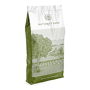 Common Bermudagrass (1 LB)