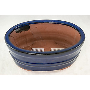 bigsnowball 8" Oval Dark Blue Bonsai/Cactus & Succulent Pot + Tray + Rock + Mesh Combo