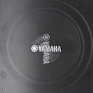 YAMAHA NS-AW294BL Indoor/Outdoor 2-Way Speakers (Black,2)