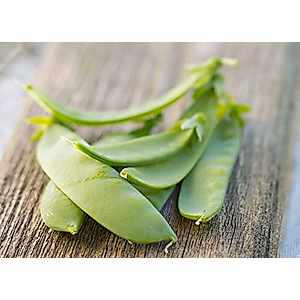 Mammoth Melting Sugar Snow Pea Seeds for Planting, 50+ Heirloom Seeds Per Packet, (Isla's Garden Seeds), Non GMO Seeds, Botanical Name: Pisum sativum, Great Home Garden Gift