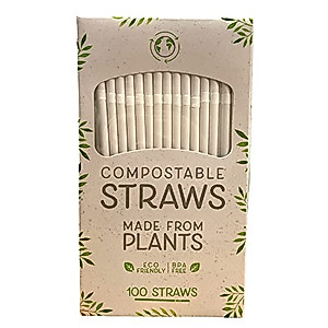 Renewable Plant Based Straws - Compostable 100ct White Environmentally Friendly Straws