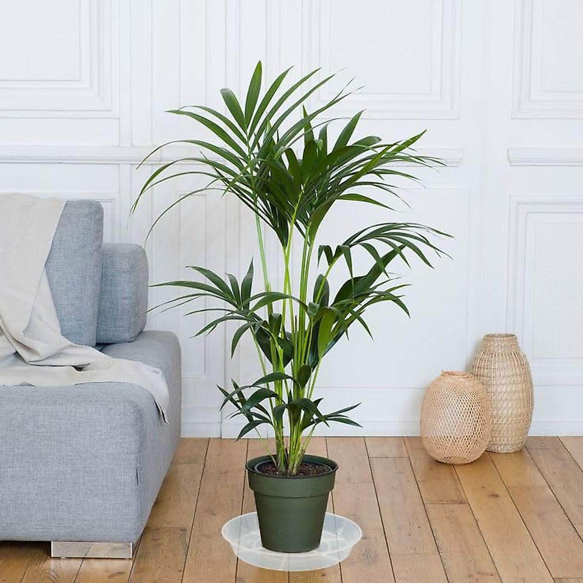 Afrine 2 Pack Plant Saucer Drip Tray 12 inch, Heavy Sturdy Plastic Planter Flower Pot Saucers for Indoor Outdoor Garden, Plant Water Drip Trays for pots (12" 2Pack, Clear)