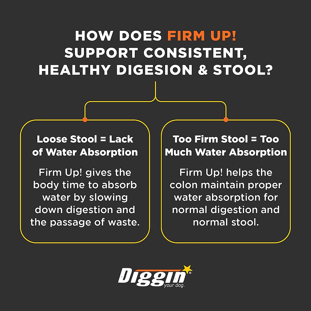 Diggin’ Your Dog FiRM UP! Pumpkin Super Supplement for Dogs and Cats, 16 oz (Pack of 2) - Made in USA, Digestive and Stool Consistency Support