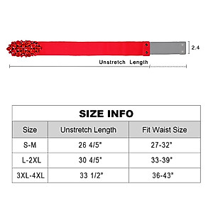 Dorchid Women Rhinestone Belt Crystal Elastic Waist Floral Cummerbund for Dress (Red, XL-XXL(35~41"))