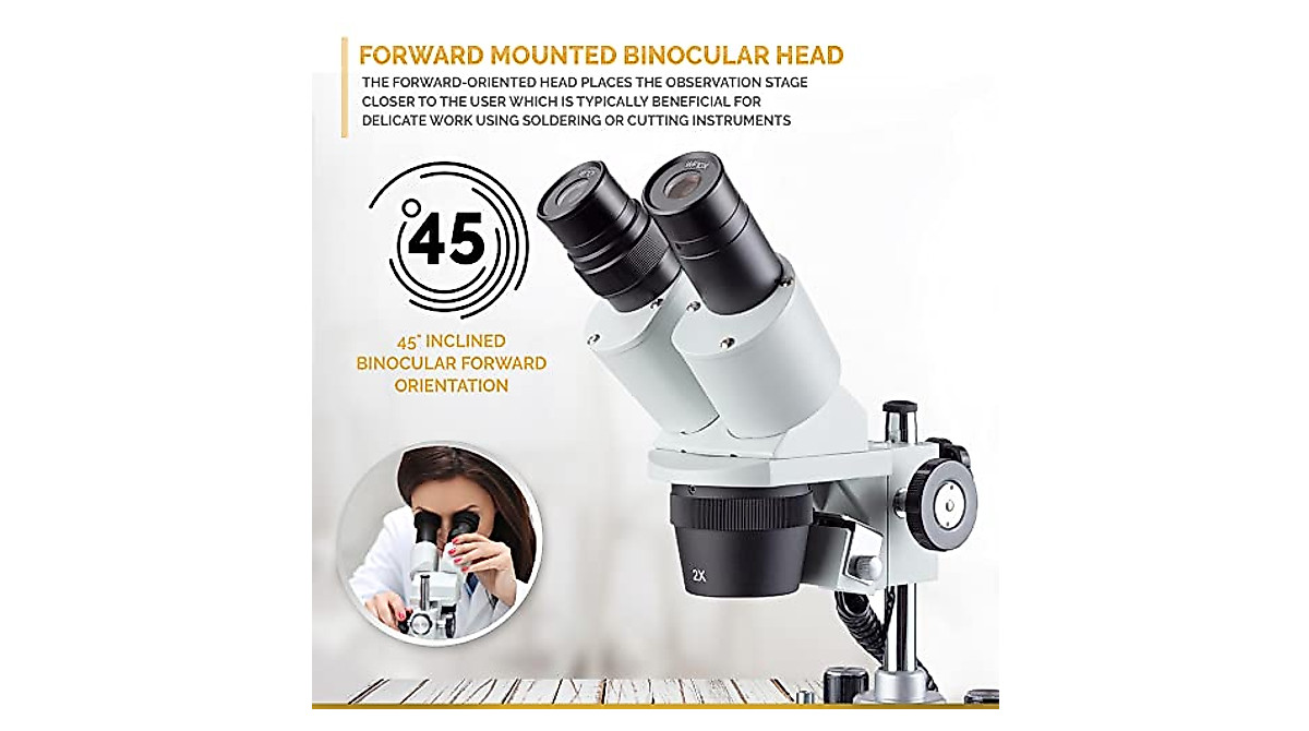 AmScope SE306R-P-LED Microscope - 20X & 40X Magnification