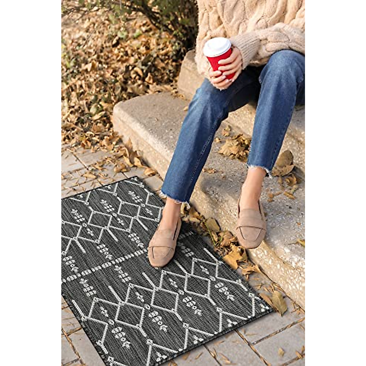 Adiva Rugs Outdoor Indoor Area Rug, Weather Resistant, Easy to Clean, Stain Resistant Floor Mat for Dining Room, Backyard, Deck, Patio (Pebble Weiss, 2' x 3')