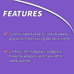 Bonide Grass Beater, 8 oz Concentrated Grass Killer, Systemic Herbicide Controls Crabgrass, Bermudagrass and More