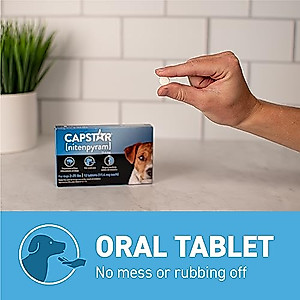 CAPSTAR (nitenpyram) Oral Flea Treatment for Dogs, Fast Acting Tablets Start Killing Fleas in 30 Minutes, Small Dogs (2-25 lbs), 6 Doses