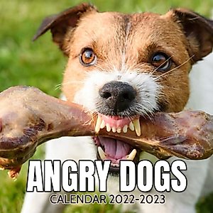 Angry Dogs Calendar 2022-2023 Monthly Planner: 21 Months from April 2022 to December 2023 | Gifts for Men Women Friends Colleagues: Birthday Ideas, ... White Elephant, Stocking Filler or Christmas