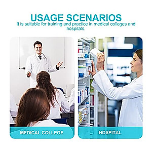 3pcs Pad Nurse Model Suturing Injection Educational Intramuscular Medical Students Diabetics Silicone Equipment Training for Trainer Supplies Muscle Module Practice Student